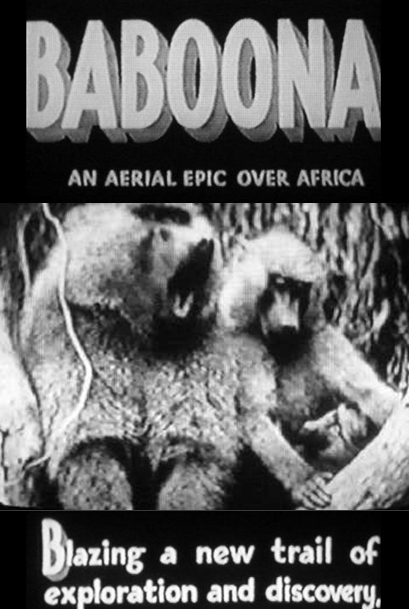 Forensic Genealogy Book Contest