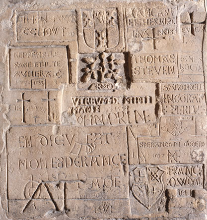 Forensic Genealogy Book Contest