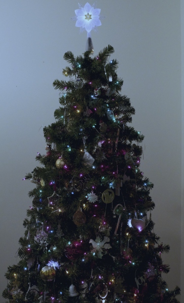 Forensic Genealogy Book Contest