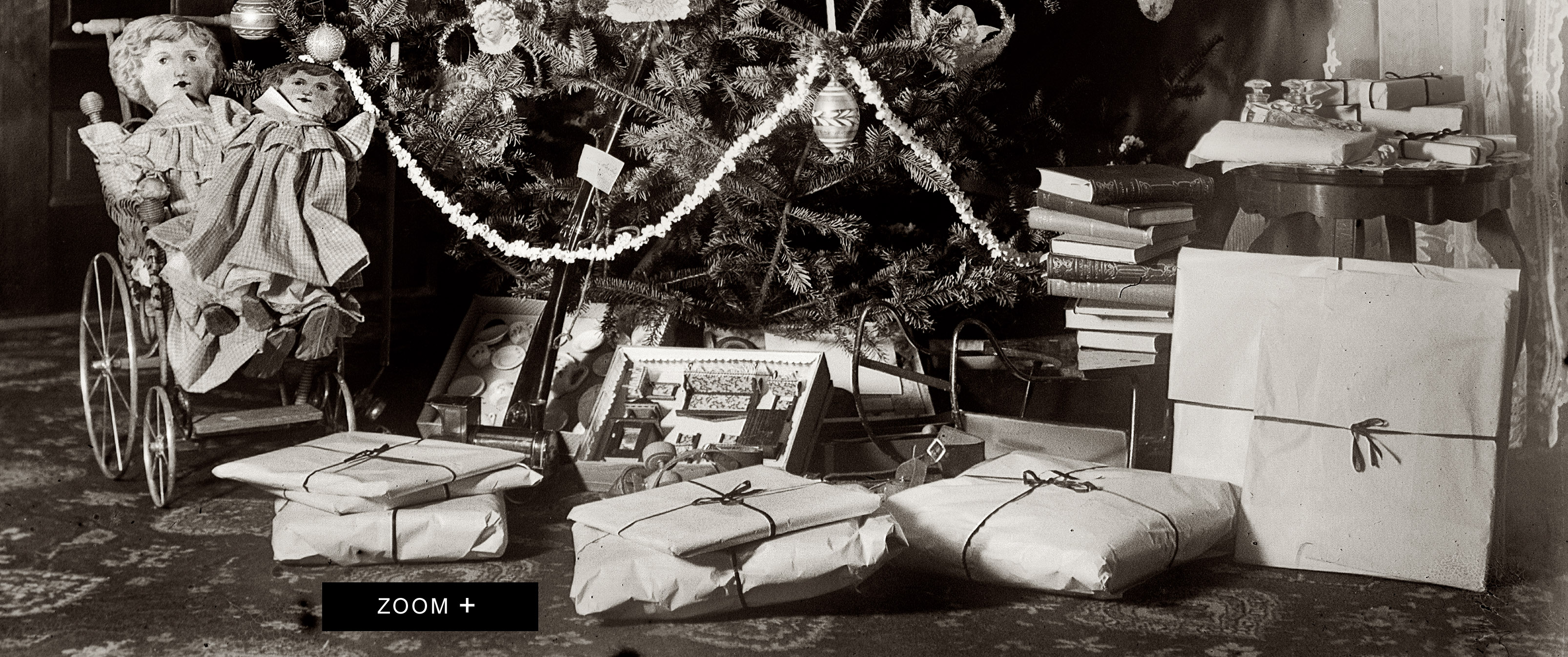 Forensic Genealogy Book Contest