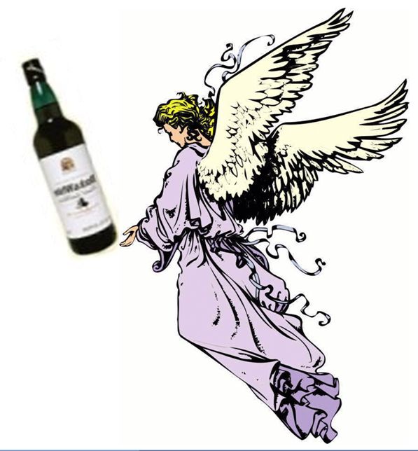 Forensic Genealogy Book Contest